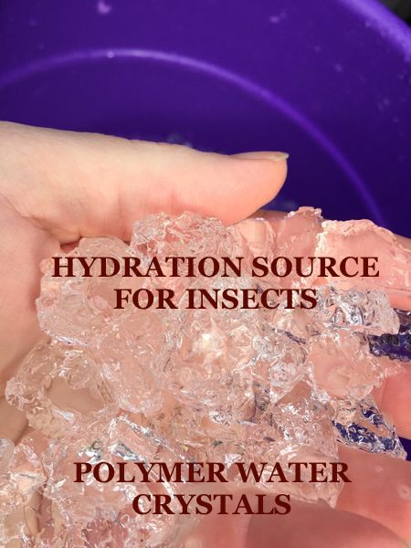 6. Insect / Feeders Supplies Food items care items.